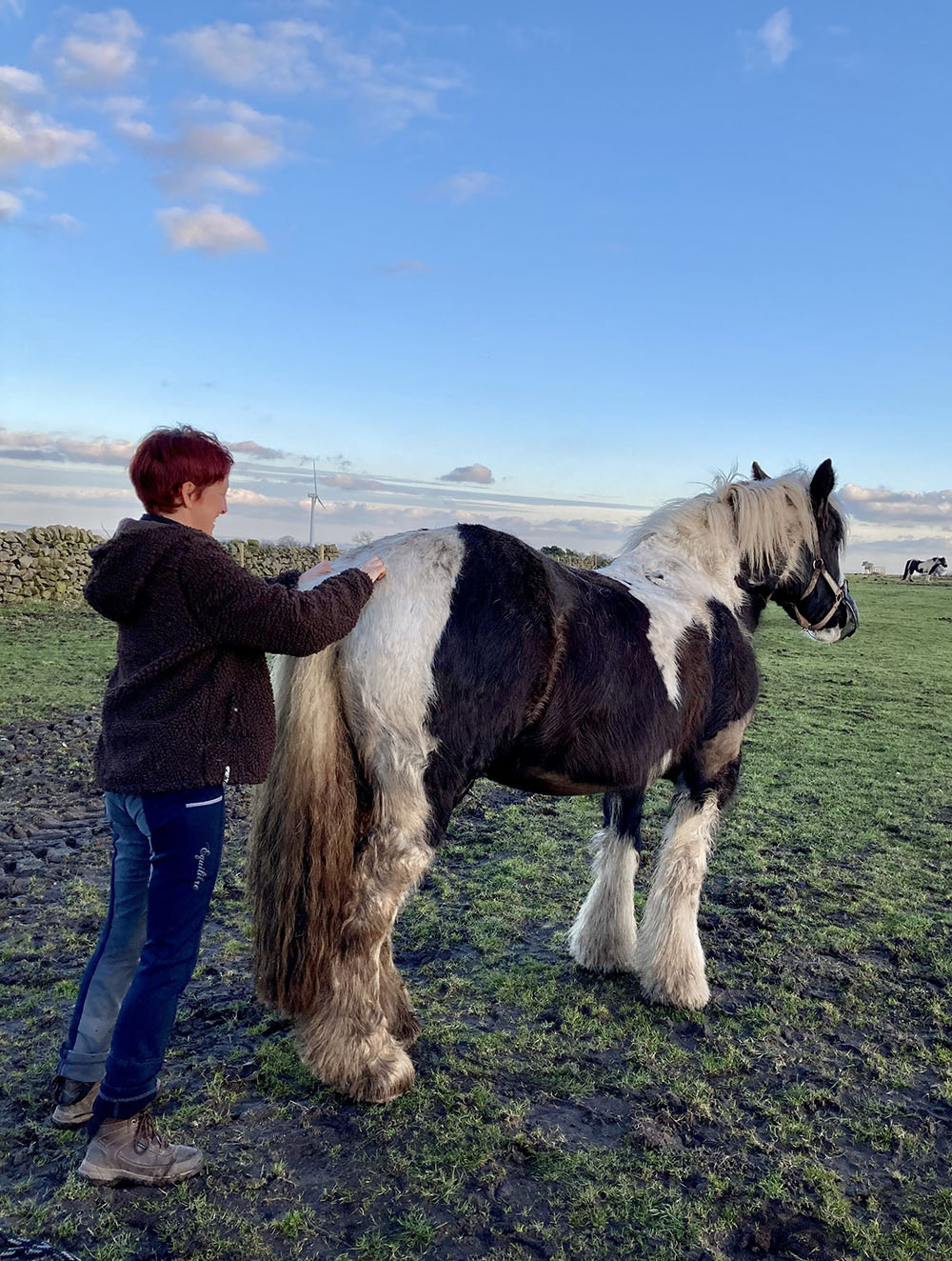 The Human Bum Scratchers | Trials of a Trail Riding Horse